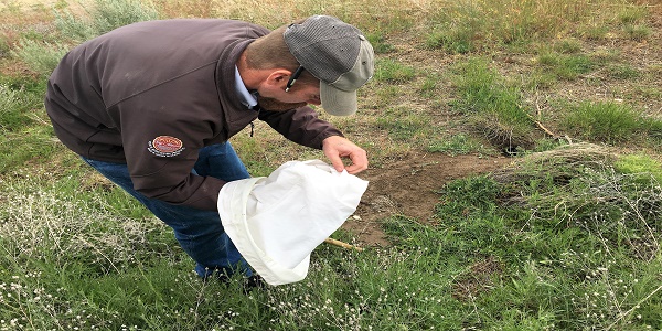 Noxious Weeds