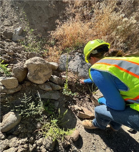 Program:Noxious Weed Seed Free Certification Program Overview